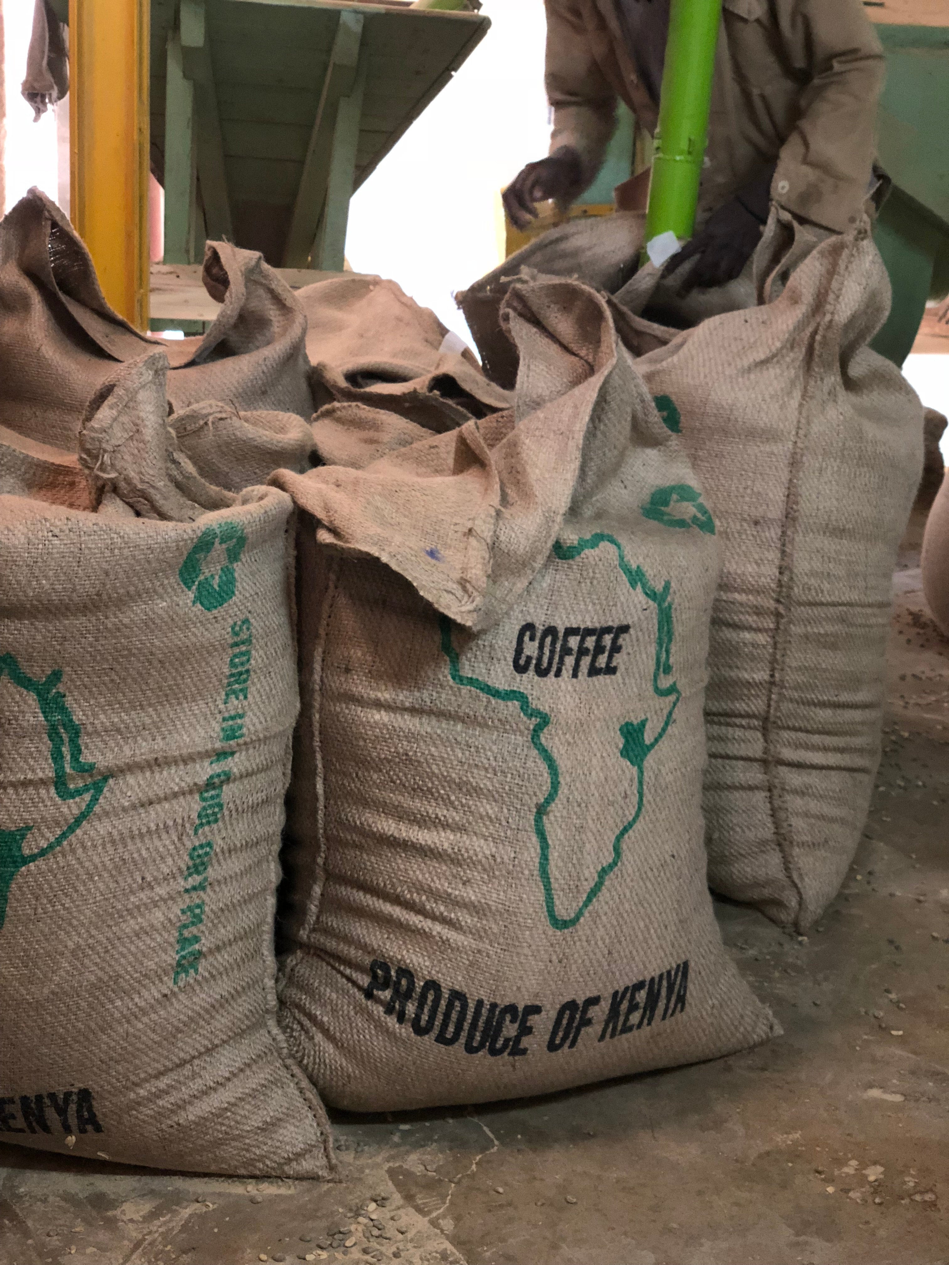 Kenyan Kaganda AA | Channel Roasters